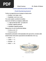 Triadan Tooth Numbering System | PDF