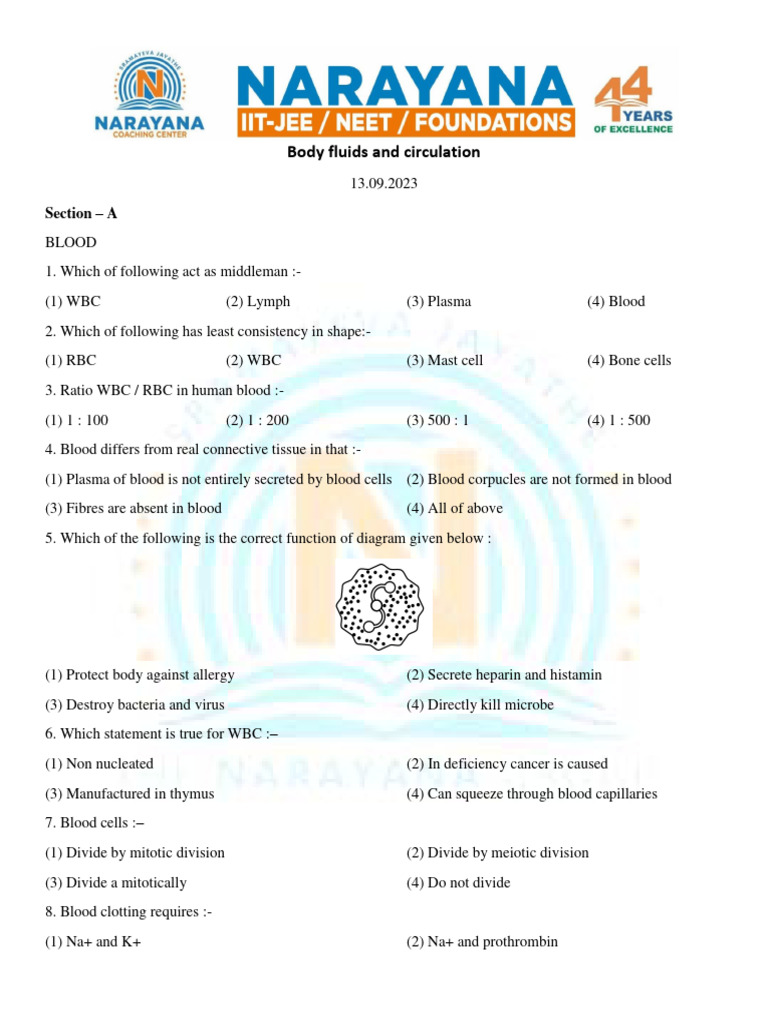 Blood Circulation and Heart Anatomy Quiz | PDF | Heart | Atrium (Heart)