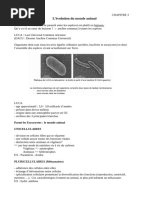 COURS L1 Metazoaire | PDF | Anatomie | Biologie