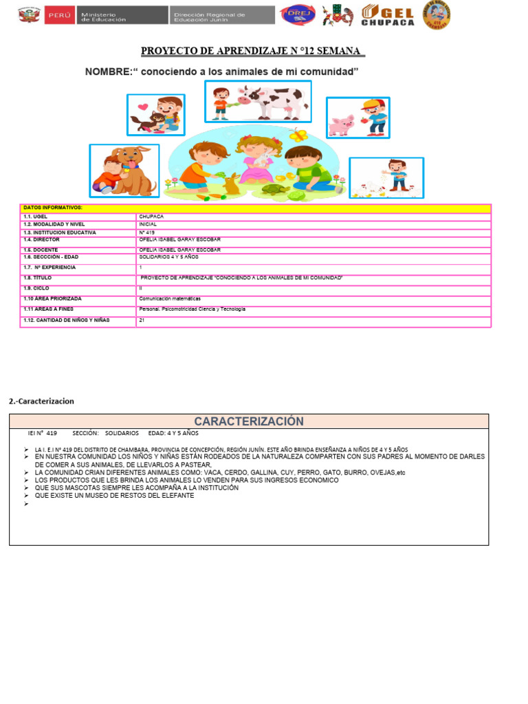 Proyecto de Aprendizaje N 12 | PDF | Aprendizaje | Comunicación