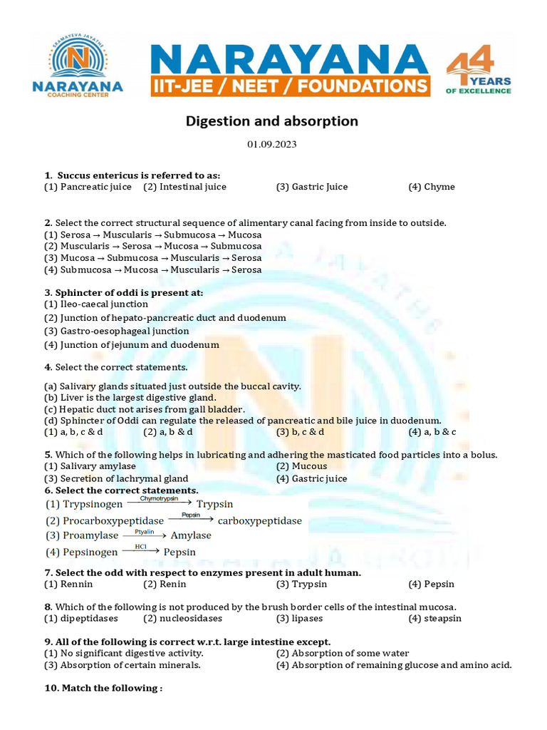 Digestion And Absorption Pdf Stomach Digestion