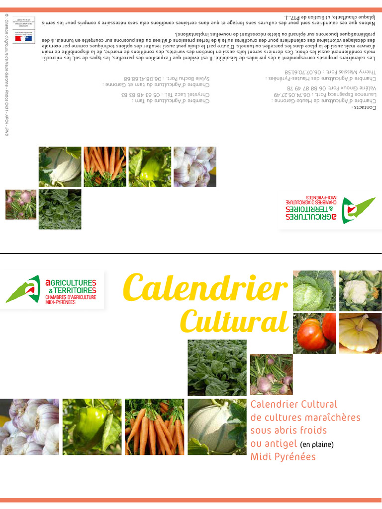 Calendrier des cultures maraîchères | PDF | Technologie et ingénierie
