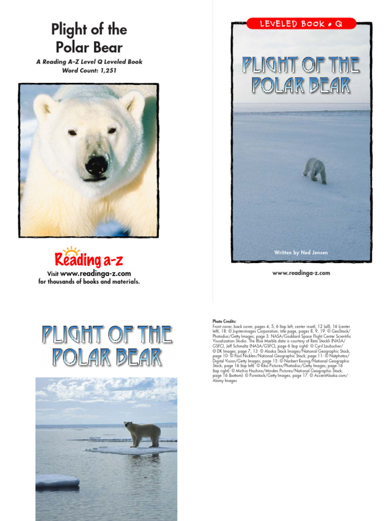 Q Plight-of-the-Polar-Bear | PDF | Polar Bear | Bears