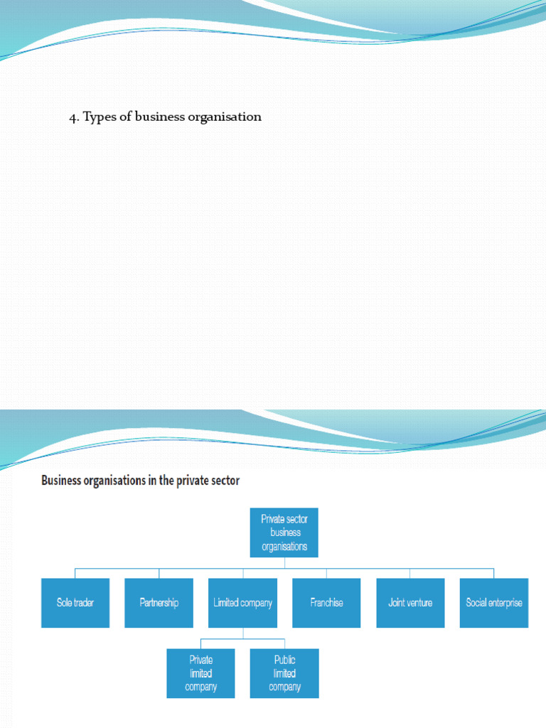 Types of Business Organisation. IGCSE Business Studies PDF | PDF | Sole ...