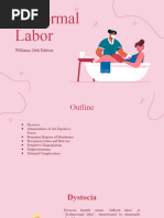 MEOWS Guideline for Maternity Care | PDF | Midwife | Obstetrics