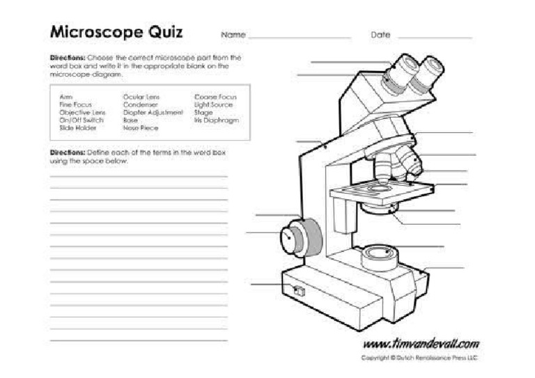 Exercise Microscope | PDF