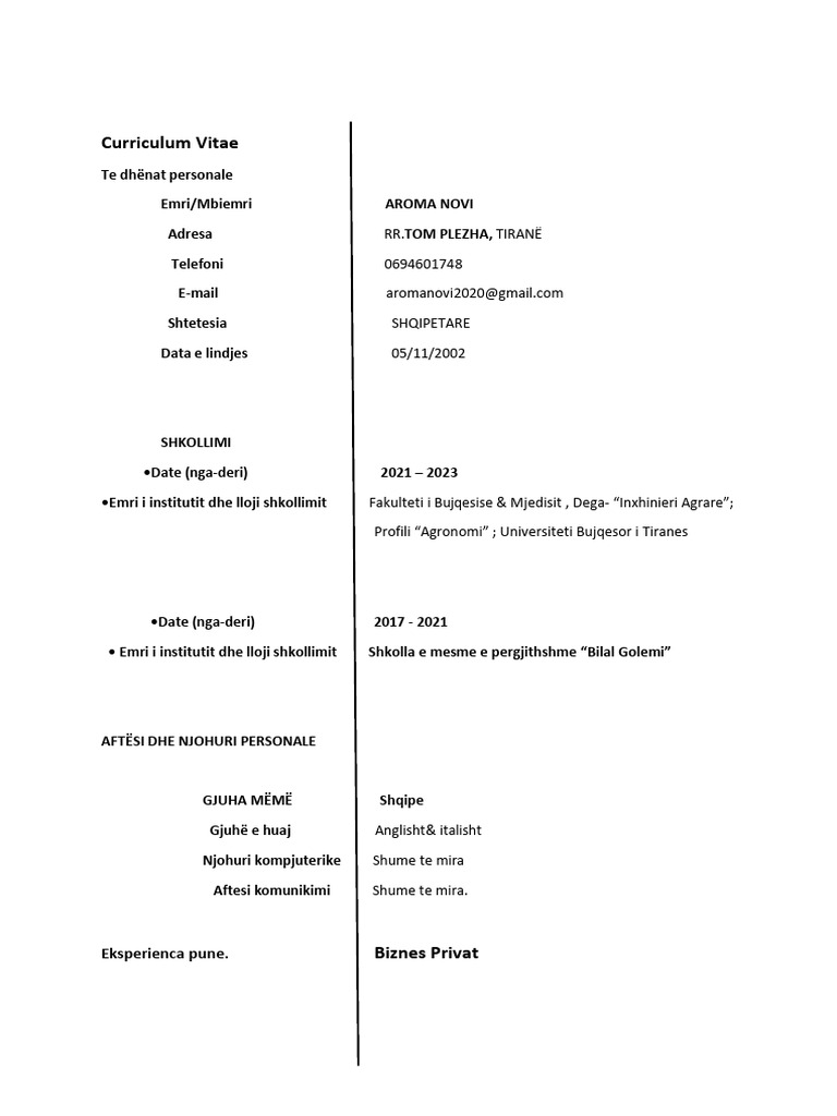 Curriculum Vitae: Eksperienca Pune | PDF