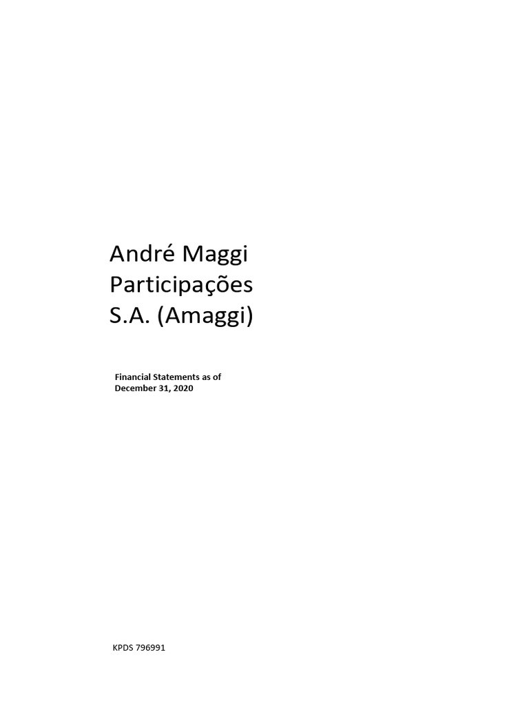 André Maggi Participacoes Sa Amaggi | PDF | Going Concern | Audit
