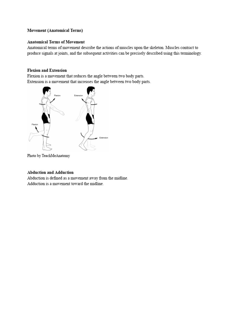 Movement (Anatomical Terms) | PDF | Anatomical Terms Of Motion ...