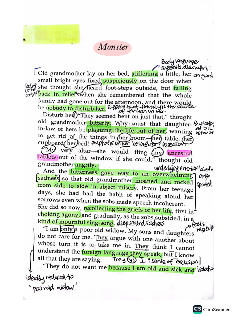 Little Ironies - Monster Story (Annotated) Literature | PDF