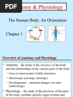 AnaPhy Module 1 Introduction To Anatomy and Physiology | PDF | Human Body | Human Digestive System