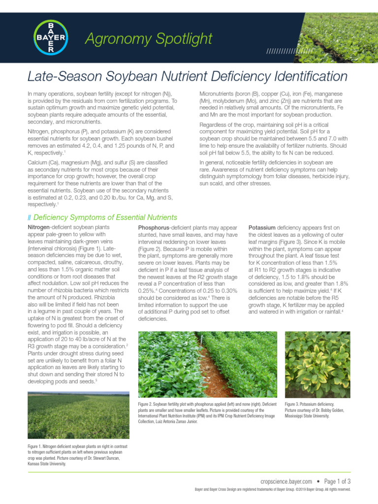 6002 - S1 - BA - Late Season Soybean Nutrient Deficiency Identification ...
