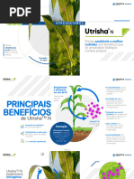 Herbicida Agricola ZethaMaxx Bula | PDF | Agricultura | Voo