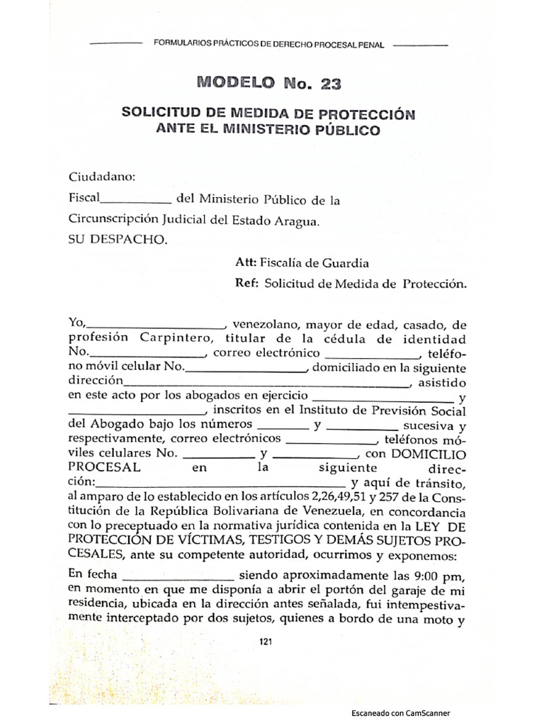 Solicitud de Medida de Proteccion Ante El Ministerio Publico | PDF