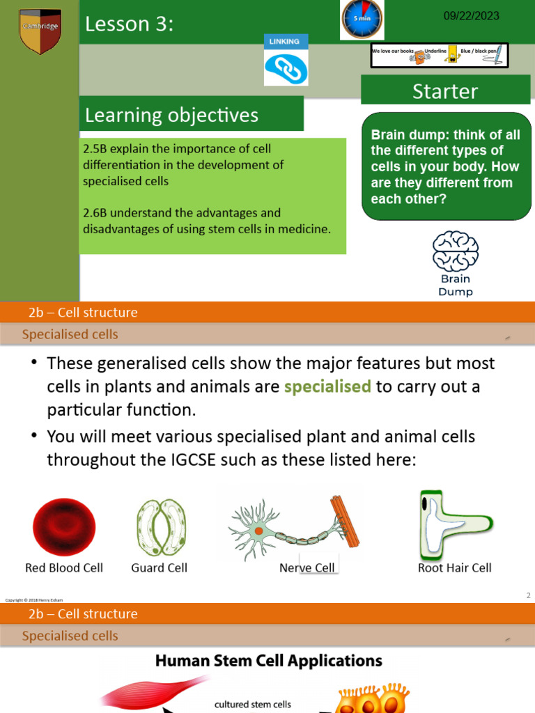 Lesson 3 Specialised Cells 2b-Cell-Structure | PDF | Cell (Biology ...