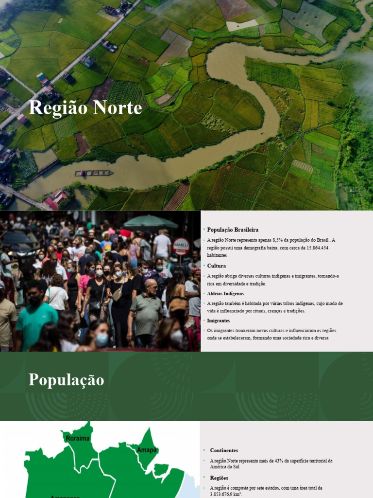 Região Norte do Brasil: População e Biodiversidade | PDF | Floresta ...