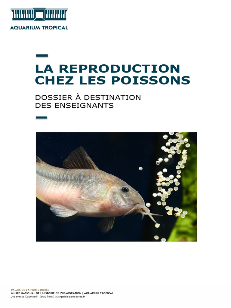 Reproduction des Poissons : Modes et Techniques | PDF | Poisson ...