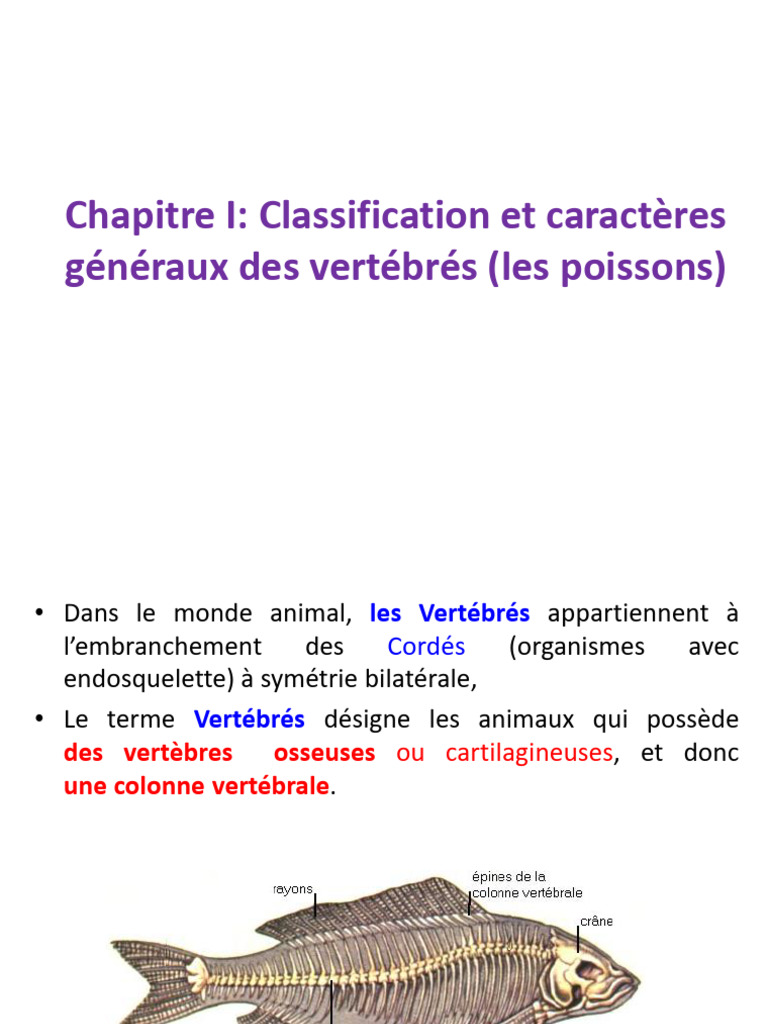 Anatomie et Classification des Poissons | PDF | Sciences et mathématiques