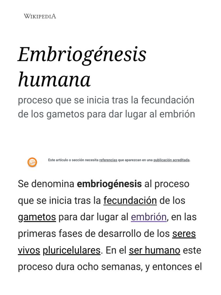 Embriogénesis Humana - Wikipedia, La Enciclopedia Libre | PDF ...