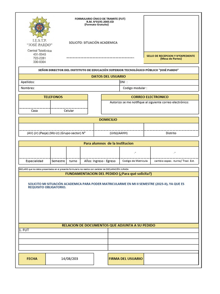 Formato Fut Virtual | PDF