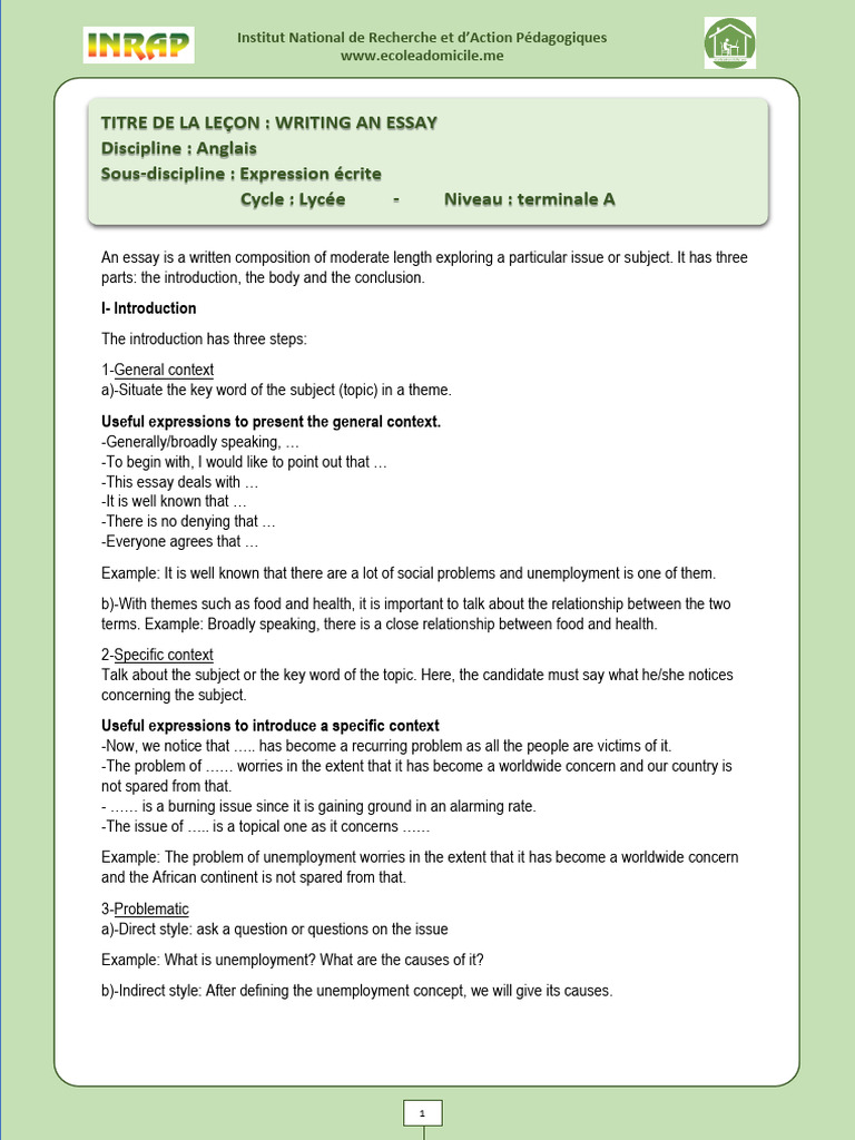 ANGL - TA - Writing An Essay | PDF | Essays | Definition