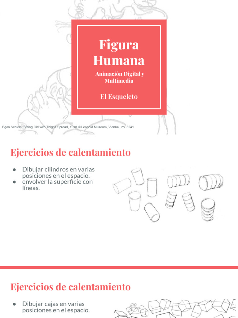 04 Figura Humana Actividad Esqueleto Pdf Esqueleto Sistema