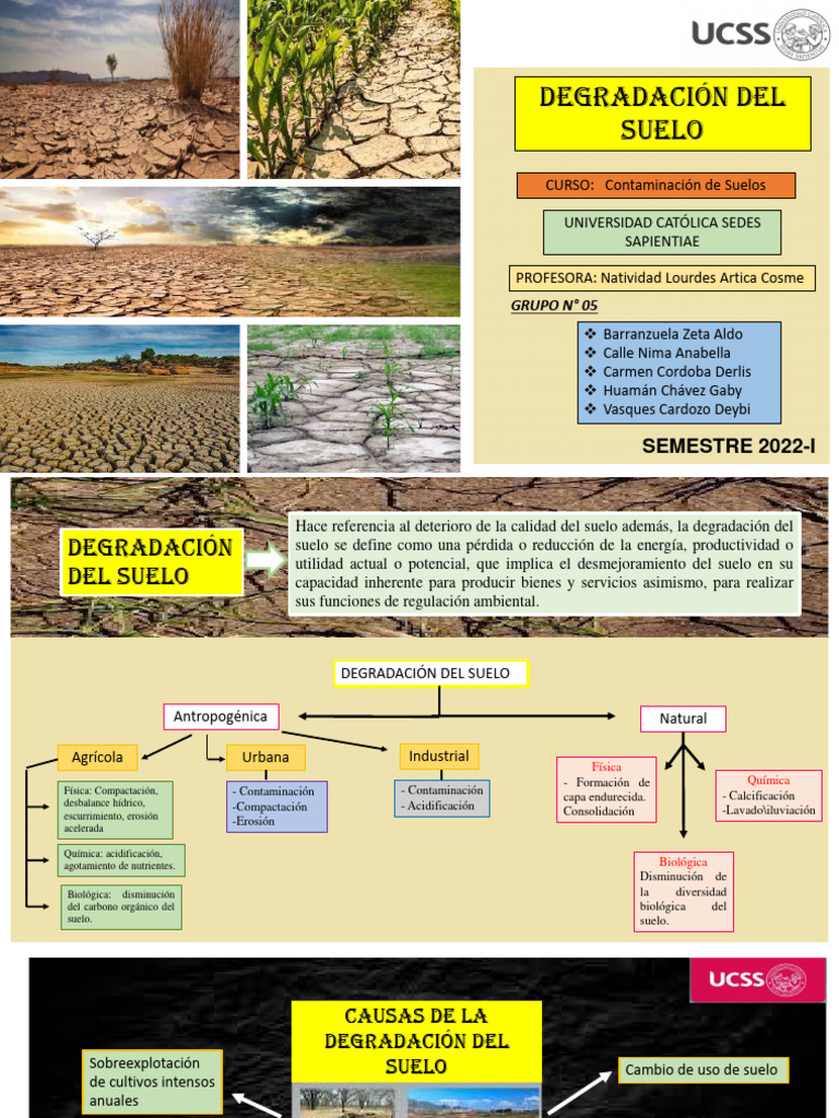 Degradación de Suelos - Grupo 5 | PDF | Suelo | Erosión