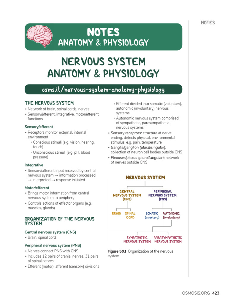 Osmosis High-Yield Physiology - Medicalstudyzone - Com (Sürüklenen ...