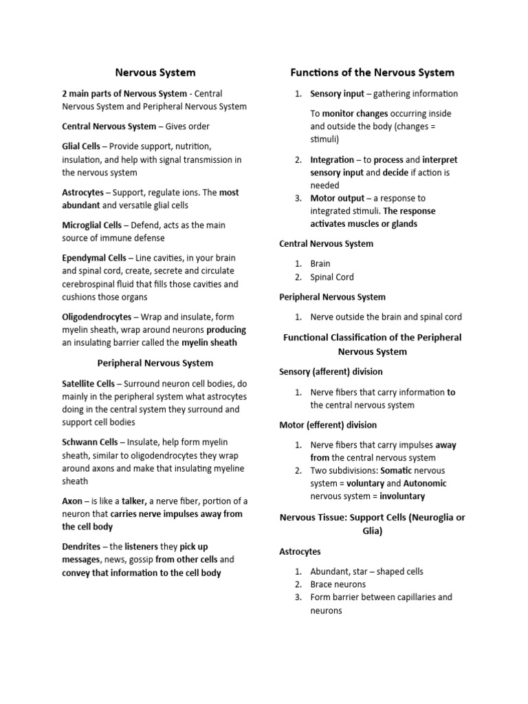 Transes Nervous System | PDF | Nervous System | Neuron