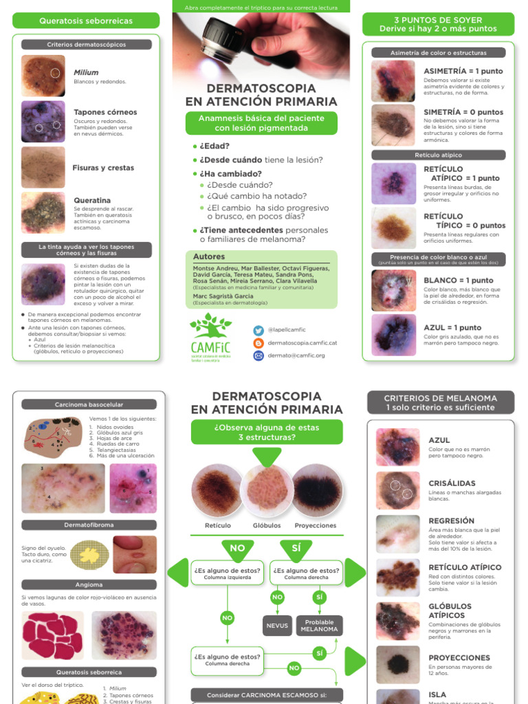 Triptico Dermatoscopio | PDF | Causas de la muerte | Sistema tegumentario