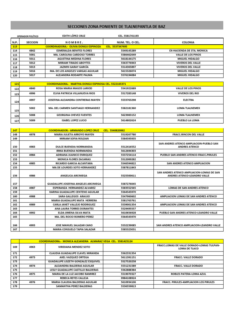 Estructura Leslie Carrillo Final1 | PDF