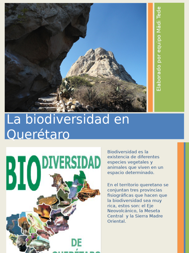 Biodiversidad en Querétaro: Flora y Fauna | PDF