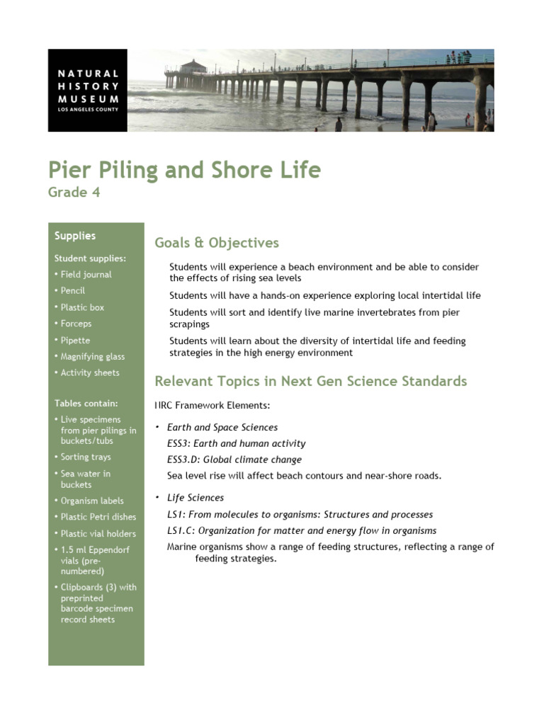 Pier Piling and Shore Life | PDF | Coast | Sea