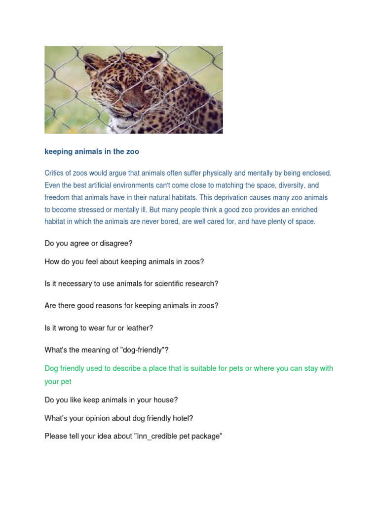 Keeping Animals in The Zoo (U32) | PDF