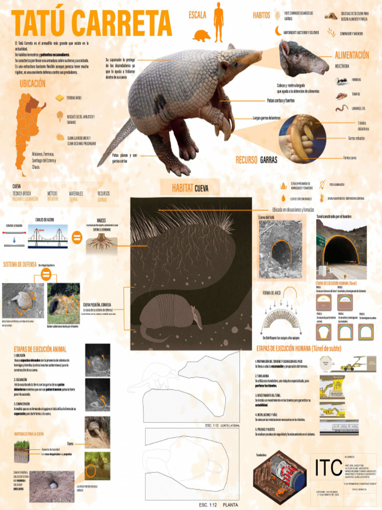 TP 1 - Tatú Carreta - G8 | PDF