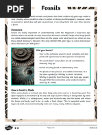 Possum Magic Classroom Activities Guide | PDF