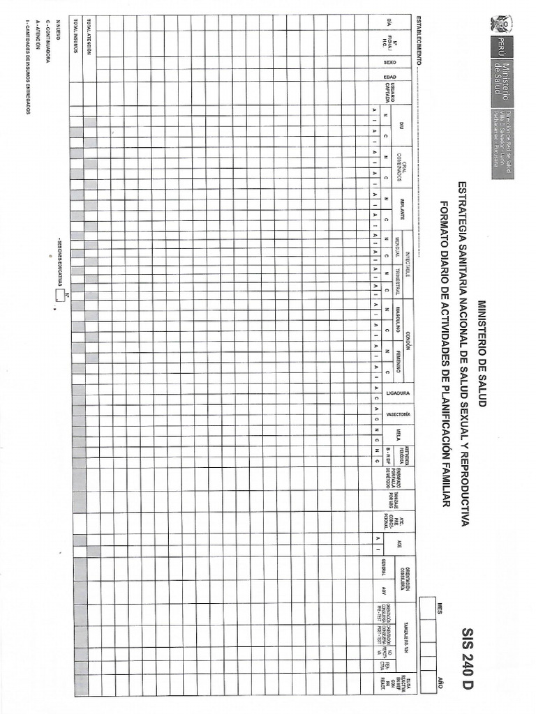 Formato Sis 240 Diario de Actividades de Planificacion Familiar. Mg. Margarita Loza Huaman | PDF