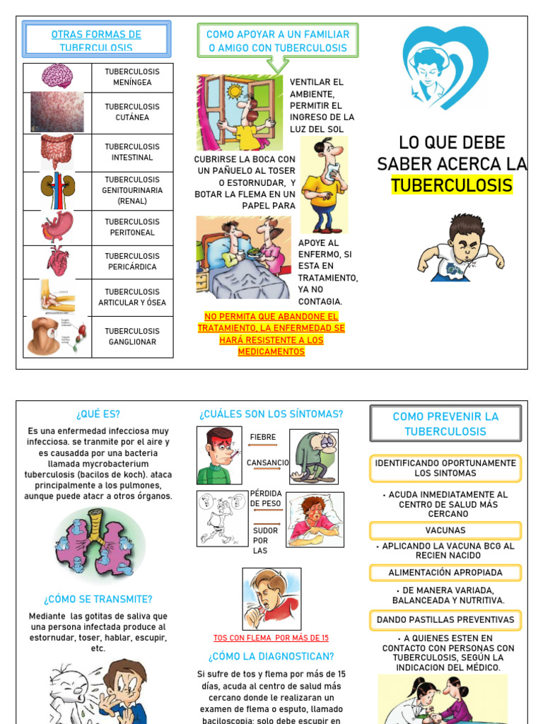 Triptico de Tuberculosis | PDF | Tuberculosis | Enfermedades animales