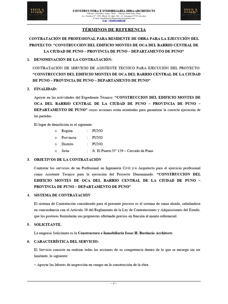 TDR Asistente Tecnico | PDF