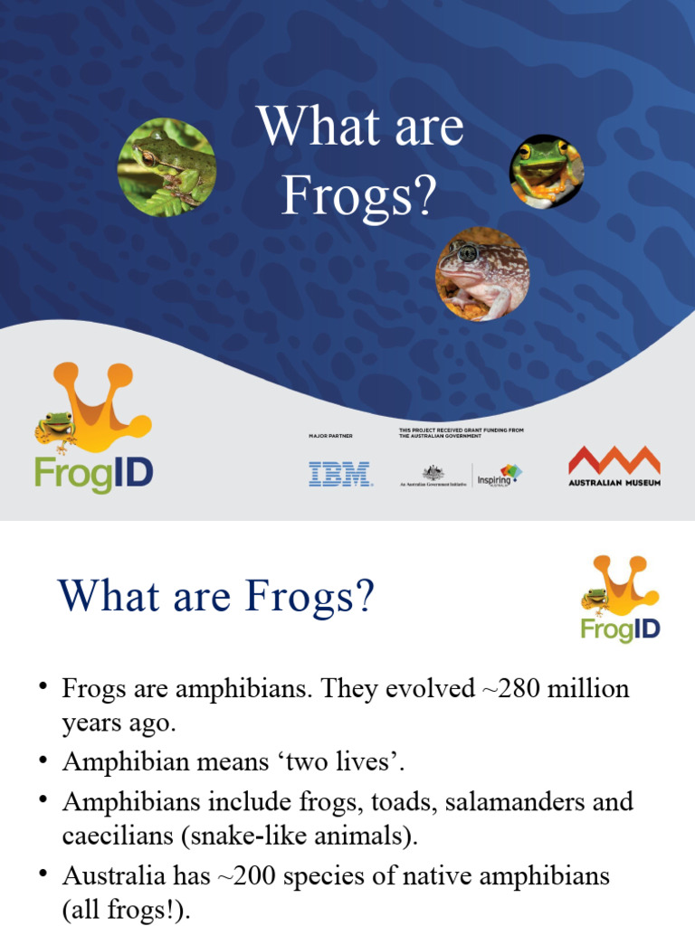 What Are Frogs Slides | PDF | Amphibian | Frog