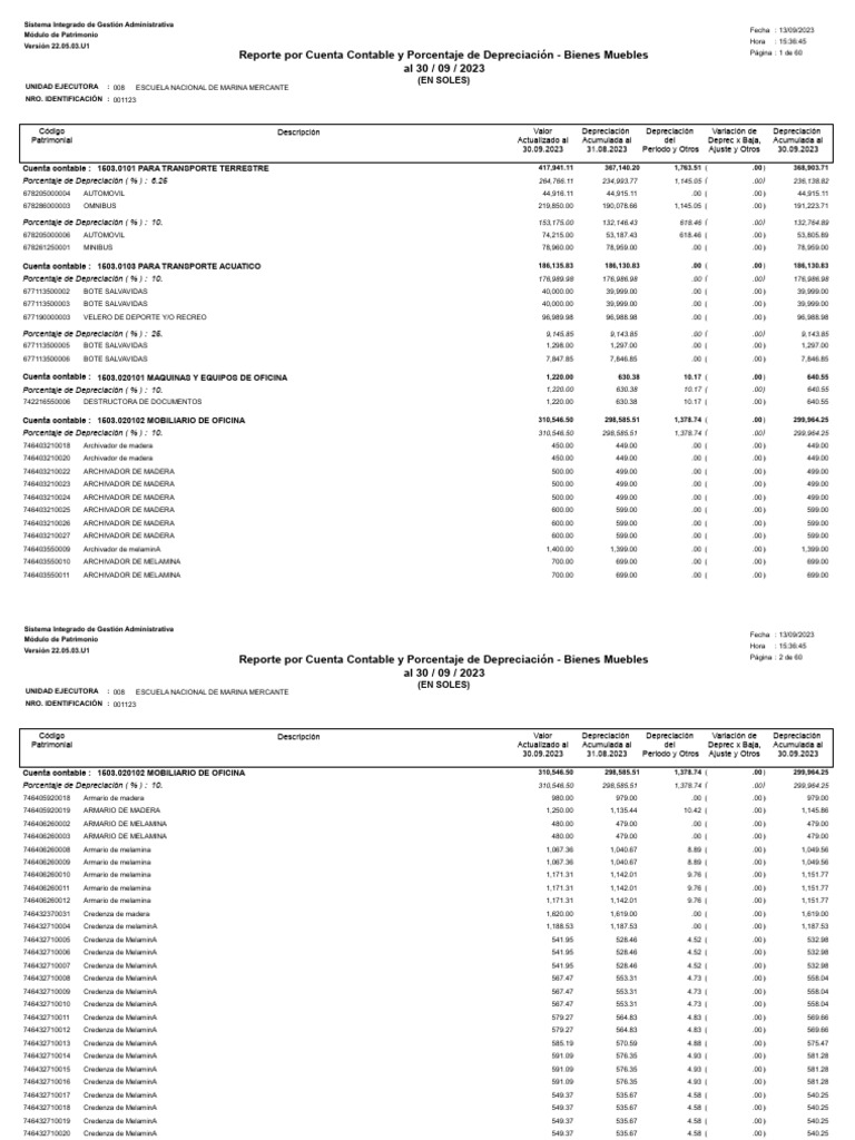 Reporte Por Cuenta Contable y Porcentaje de Depreciación - Bienes ...