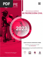 Formatos Proteccion Civil | PDF | Defensa Civil | Gestión de emergencias