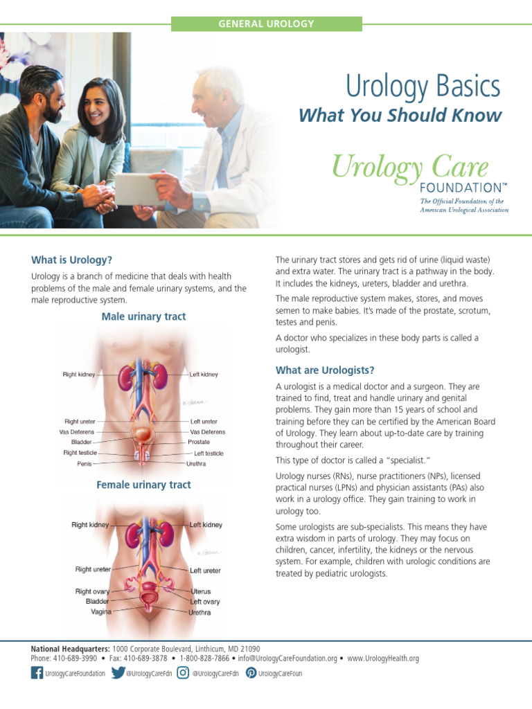 Urology Basics What You Should Know Fact Sheet | PDF | Urology ...
