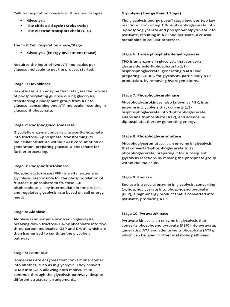 Cellular Respiration Glycolysis | PDF | Glycolysis | Adenosine Triphosphate