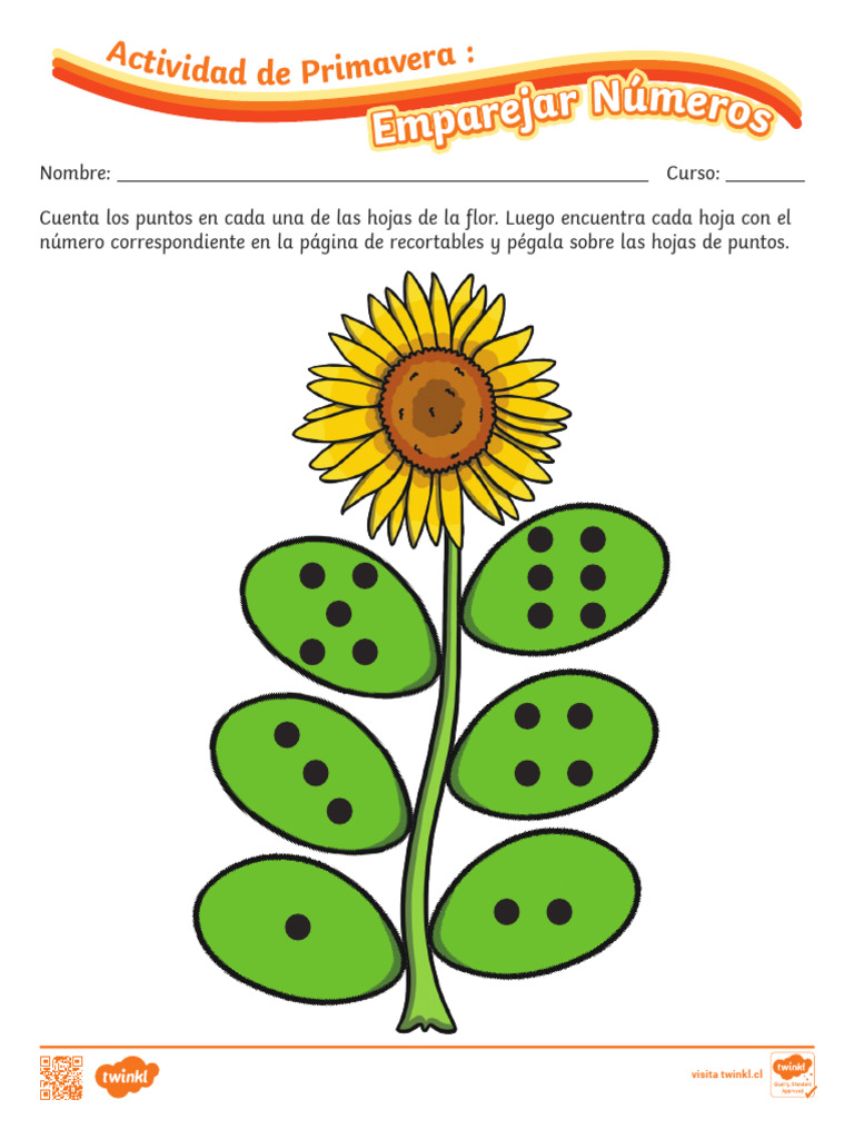 Actividades de Conteo con Flores | PDF