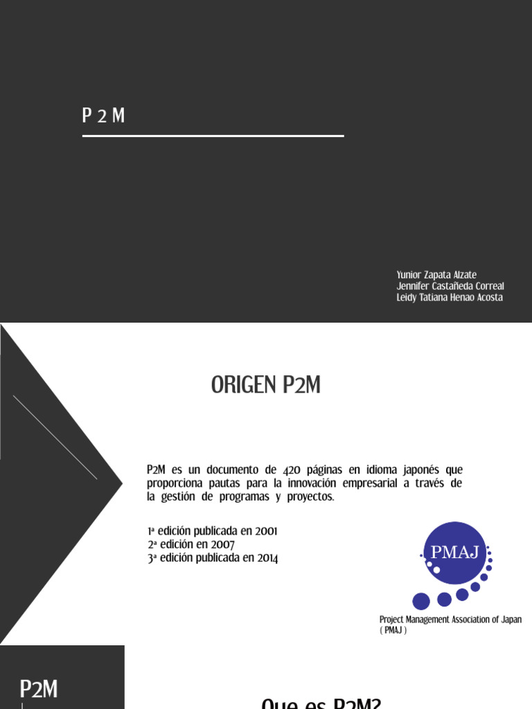 P2M Exposición | PDF | Infraestructura | Innovación