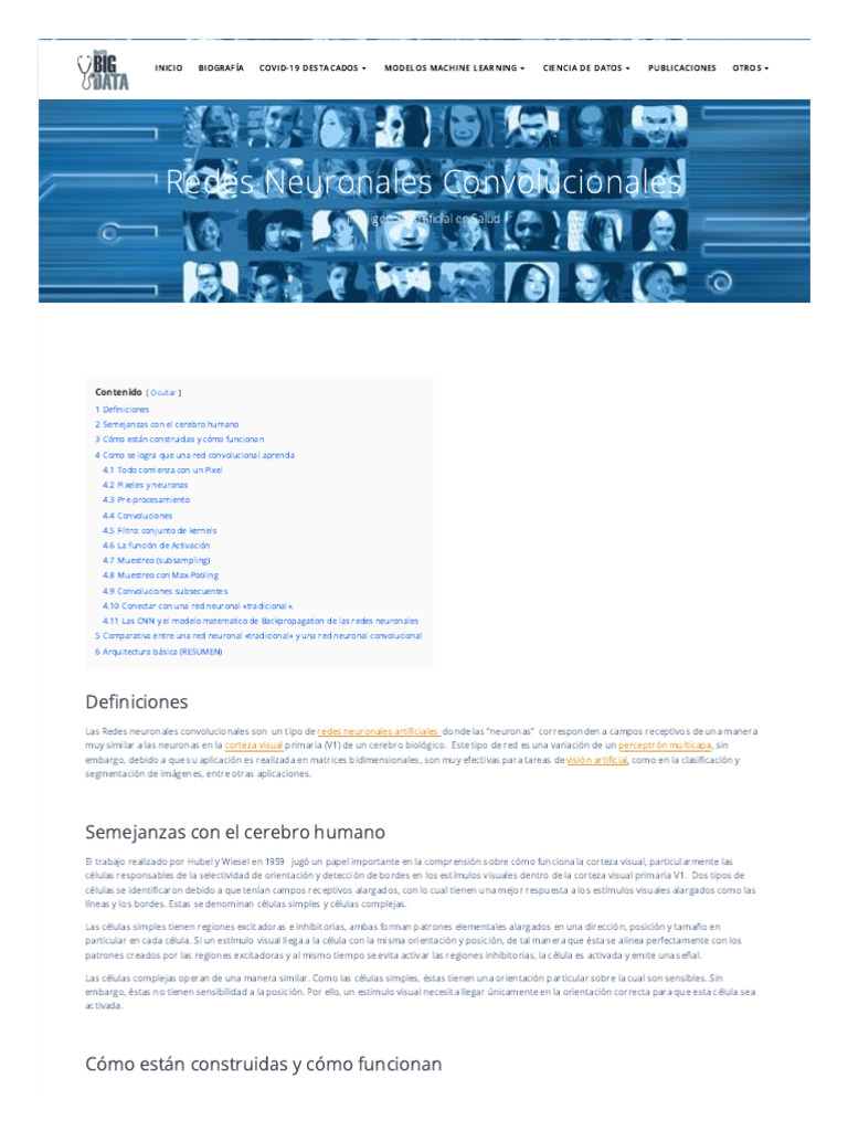 Definición de Redes Neuronales Convolucionales | PDF | Neurociencia ...
