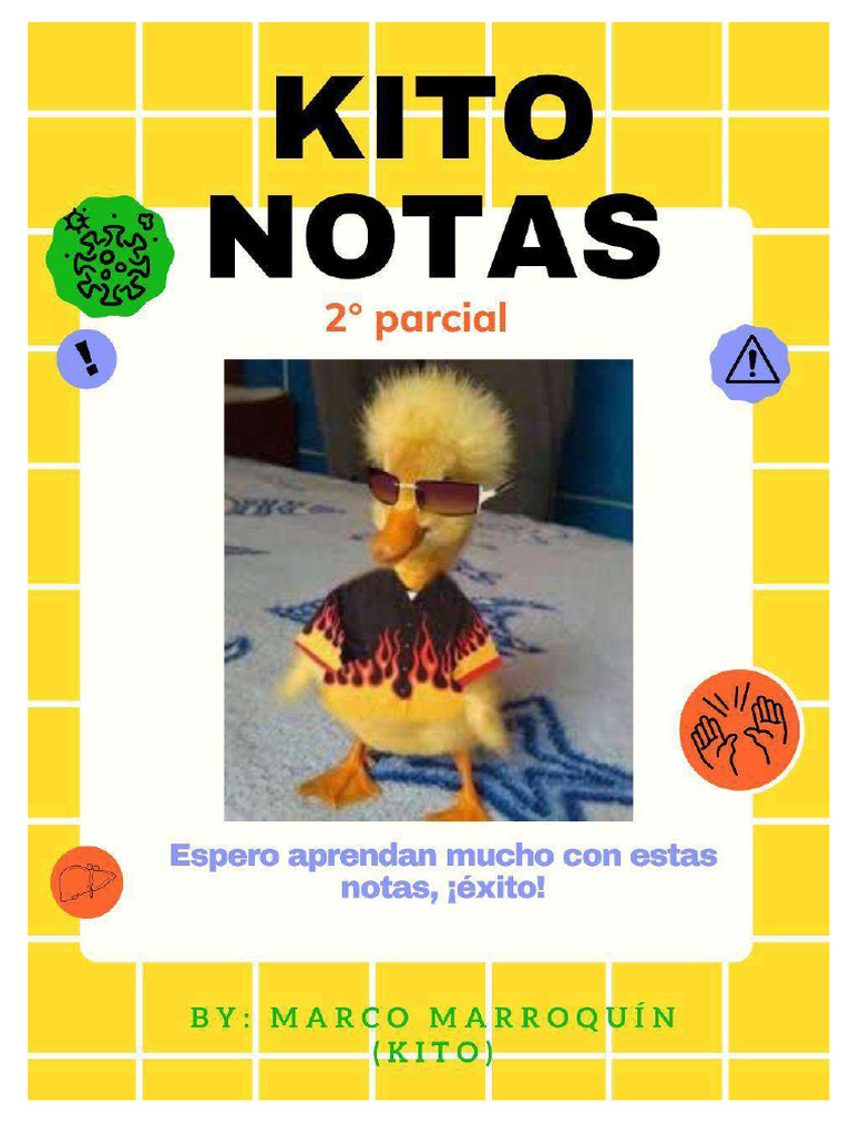 Kito Notas 2do Parcial Ago Dic 2022 | PDF | Cáncer | Linfoma