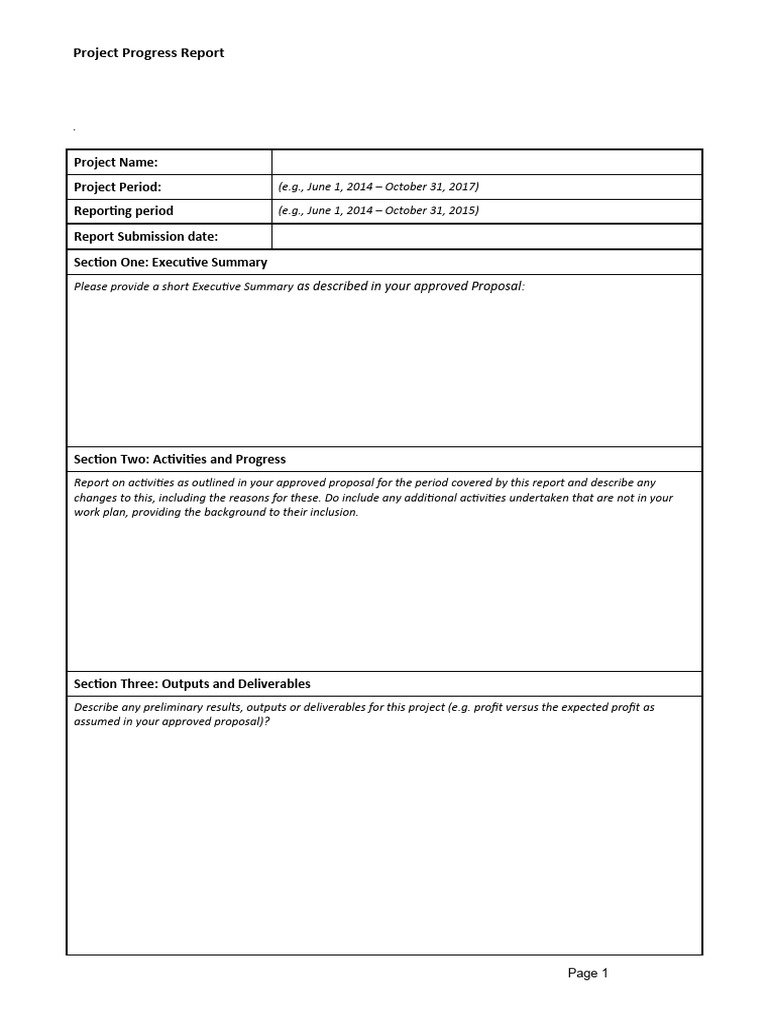 Progress Report Tempate | PDF