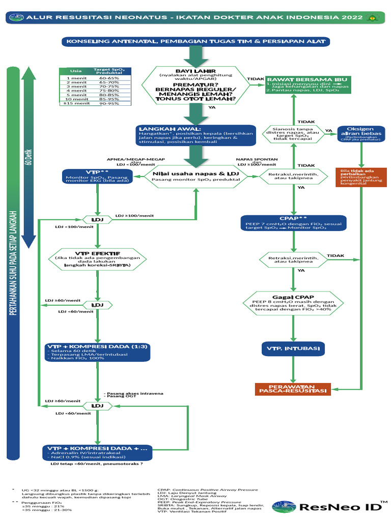Alur Resusitasi Neonatus IDAI 2022 60x160 | PDF
